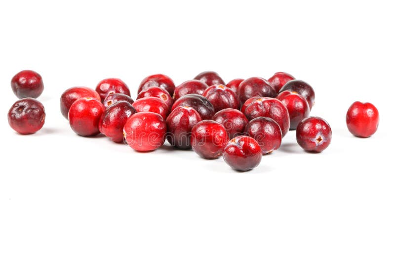 Small Red Cranberry stock photo. Image of berries, herbal - 82714186