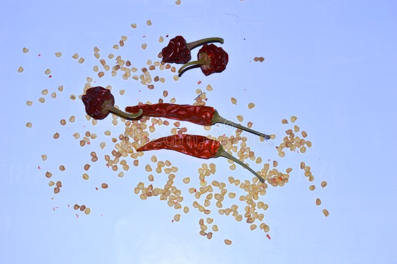 Red, hot peppers and seeds stock image. Image of vegetables - 214245979