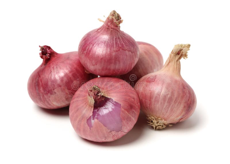 Small red onion stock image. Image of agricultural, healthy - 153006677
