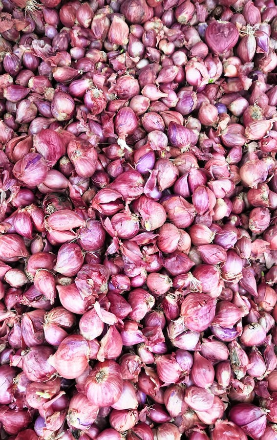 Small Red Onion stock image. Image of market, groceries - 182875141