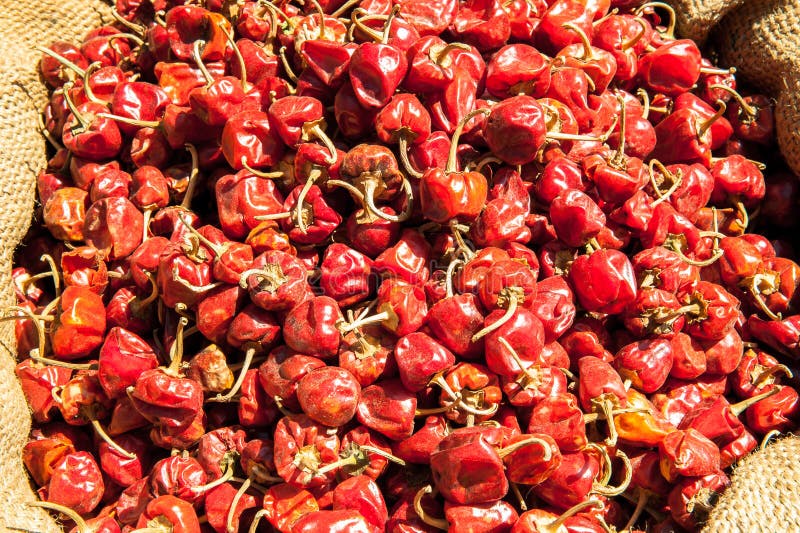 Small red pepper bag stock photo. Image of food, fresh - 67260828