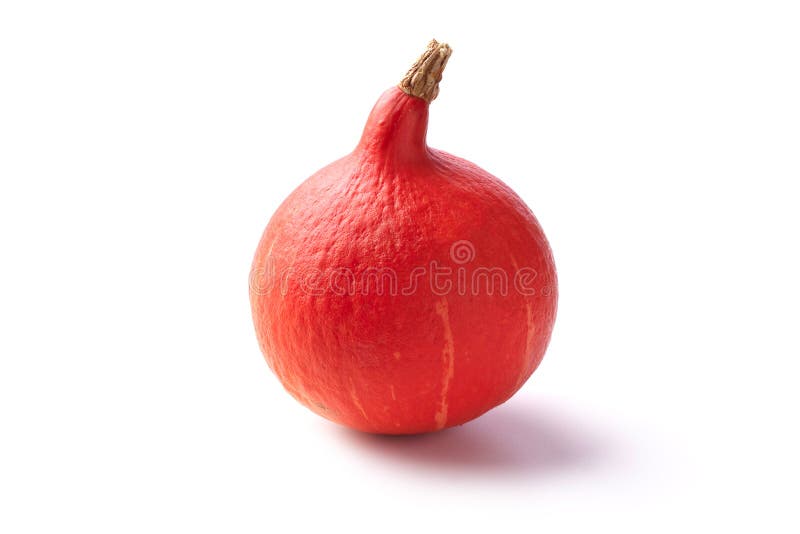 Small red pumpkin stock photo. Image of color, market - 11578438