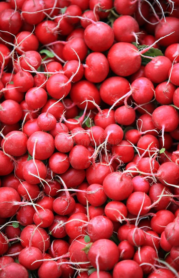 Red radishes stock image. Image of radish, bunch, market - 13332661