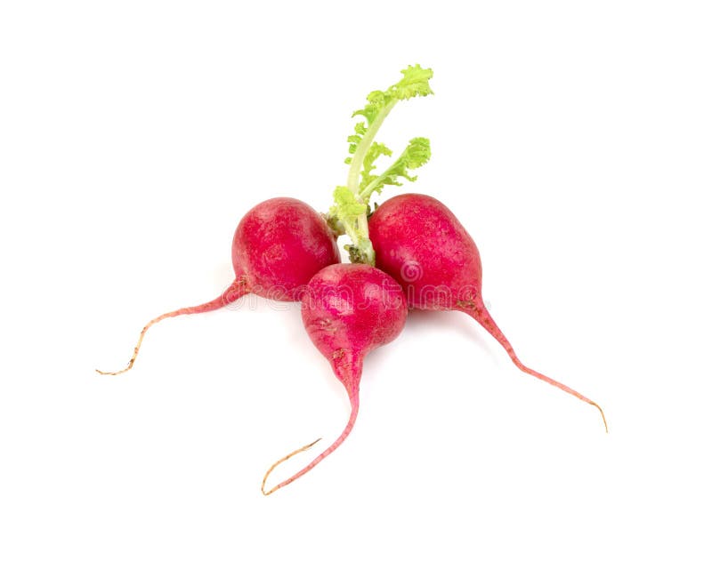 Sliced Small Red Radish Isolated on White Background Stock Image ...