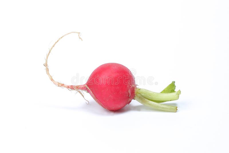 Small red radish stock image. Image of plant, healthy - 78564761