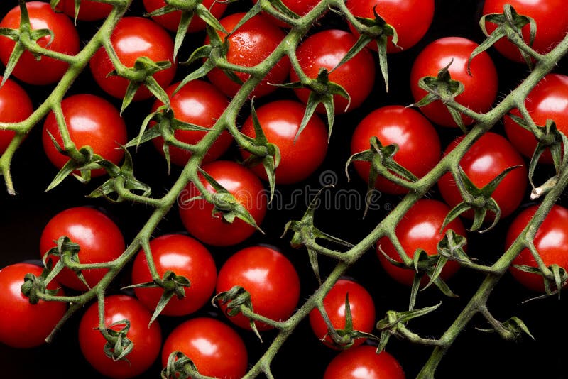 Small red tomatoes stock photo. Image of background - 104867226