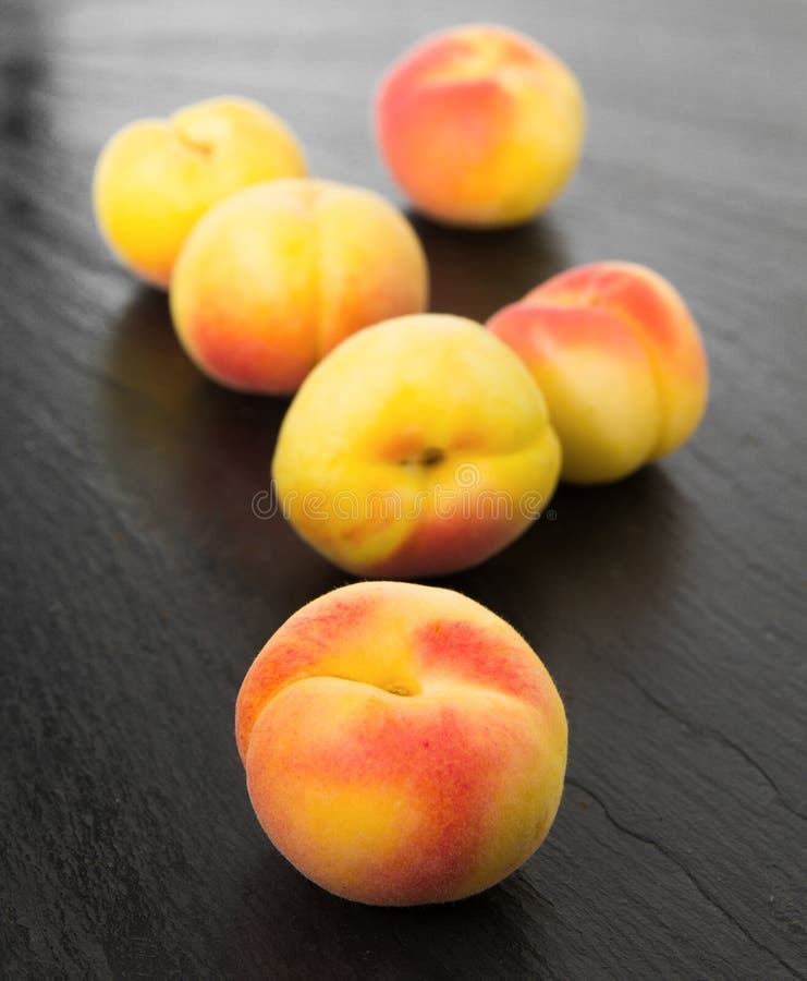 Small ripe apricots stock photo. Image of rock, berry - 55052292