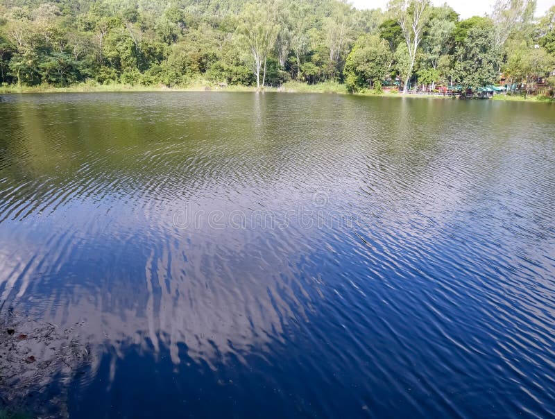 Small Ripples on a Lake Surface Stock Photo - Image of pond, wetland ...