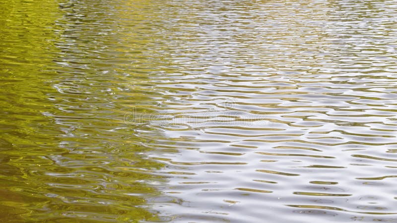 Small Ripples on the Surface of the Lake with a Reflection of White ...