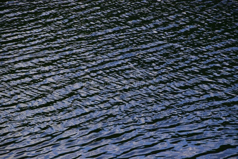 Small Ripples on the Water Surface Stock Image - Image of aquatic ...