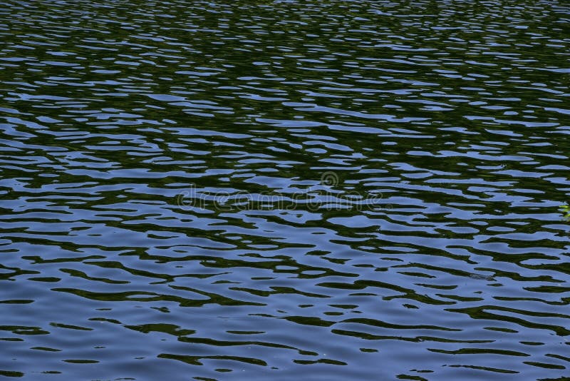 Small Ripples on the Water Surface Stock Photo - Image of reflective ...