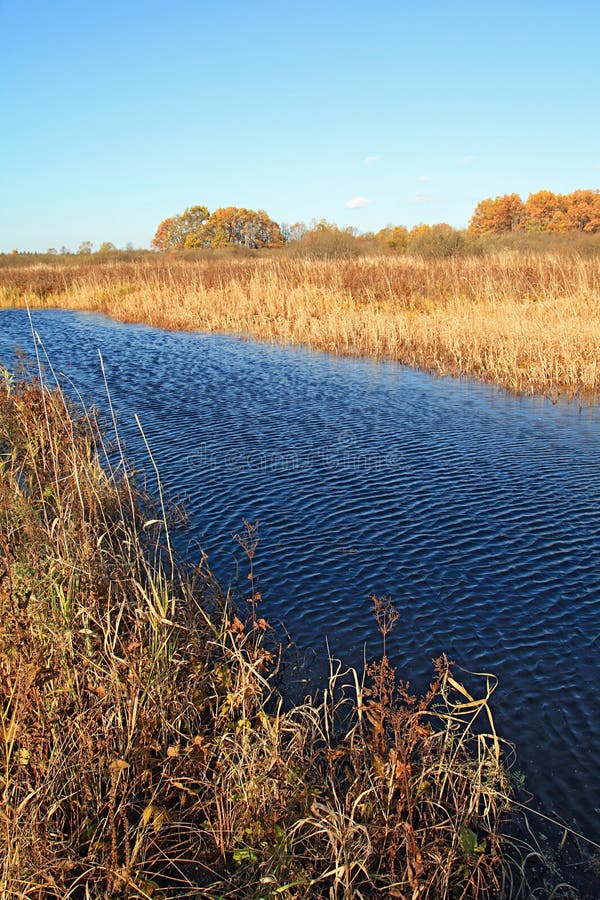 Small river stock image. Image of conservation, outdoors - 12570651
