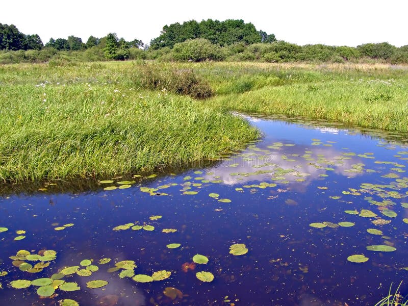Small river stock photo. Image of beach, autumn, cloud - 7002978