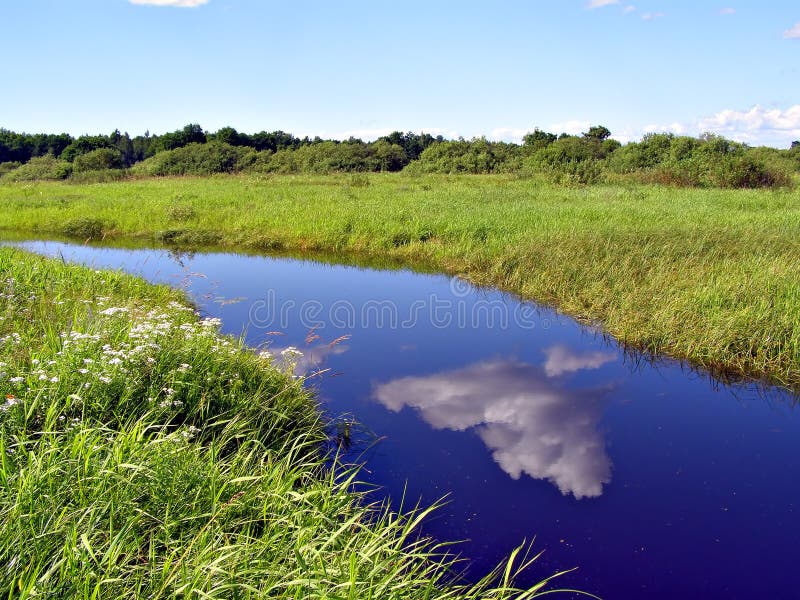 Small river stock image. Image of colorful, peaceful, foliage - 7150857