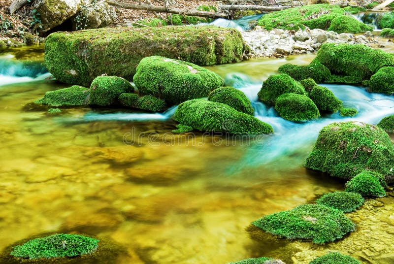 Small river stock image. Image of spring, morning, meditation - 9114397