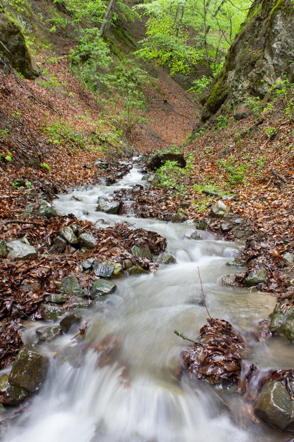 Small River Along a Narrow Gorge Stock Image - Image of hiking ...