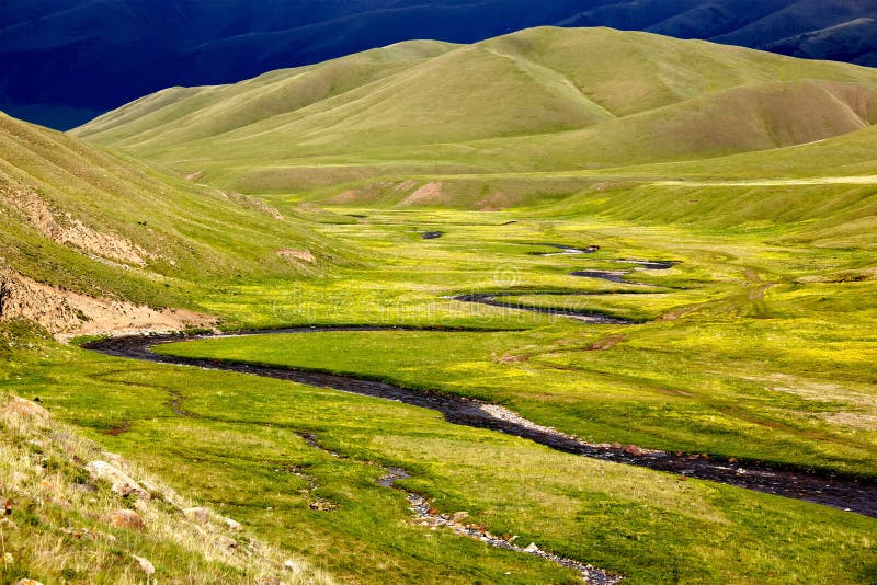 Small River in Alpine Meadows Stock Image - Image of wilderness, rural ...