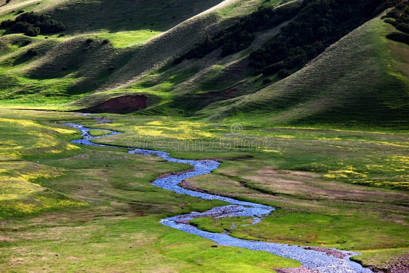 Small River in Alpine Meadows Stock Photo - Image of remote, nature ...