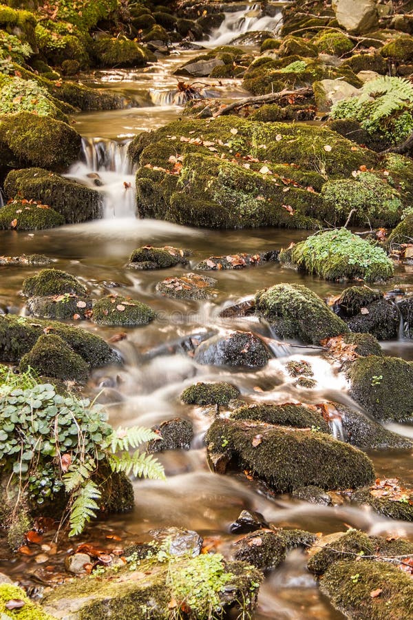 Small river stock image. Image of rocky, beautiful, nature - 33412259