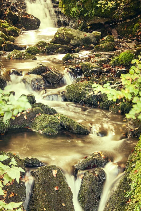 Small river stock photo. Image of stone, natural, jungle - 33412330