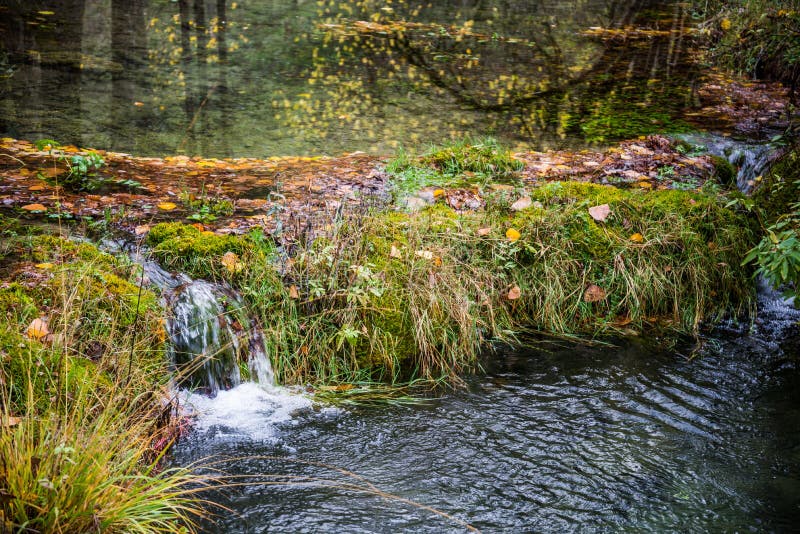 Small River in Autumn Beech. Stock Photo - Image of outdoors, forest ...