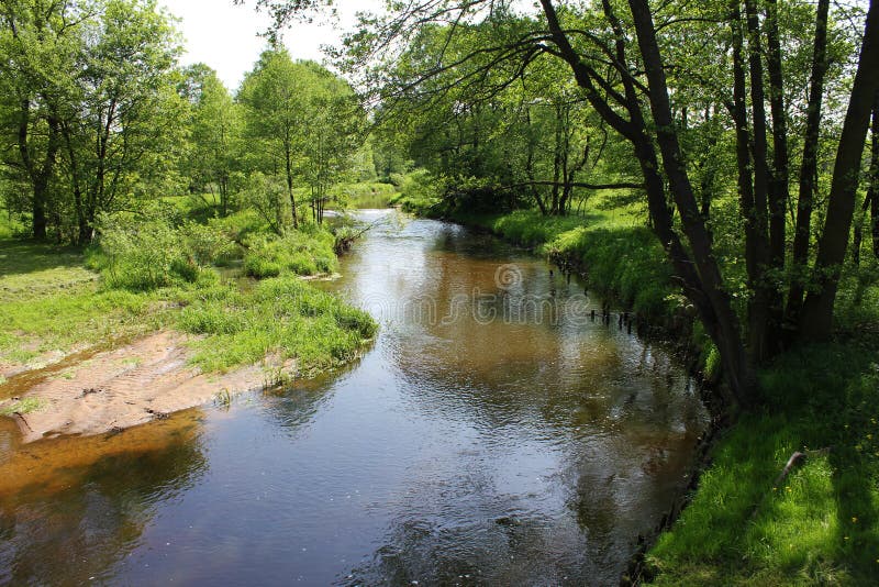 A Small River, Banks Surrounded by Spring Vegetation Stock Image ...