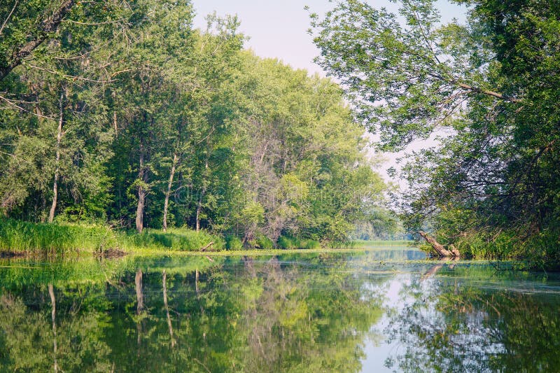 Small bayou in Houston stock image. Image of highrise - 4603955