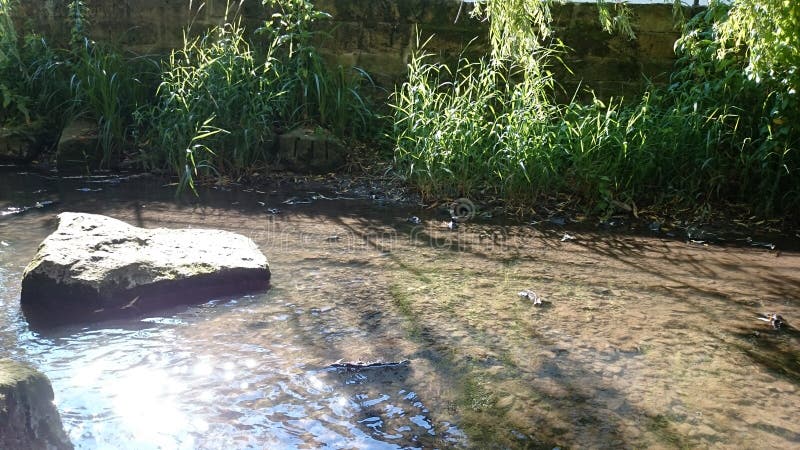 Small river stock photo. Image of small, river, water - 79062056