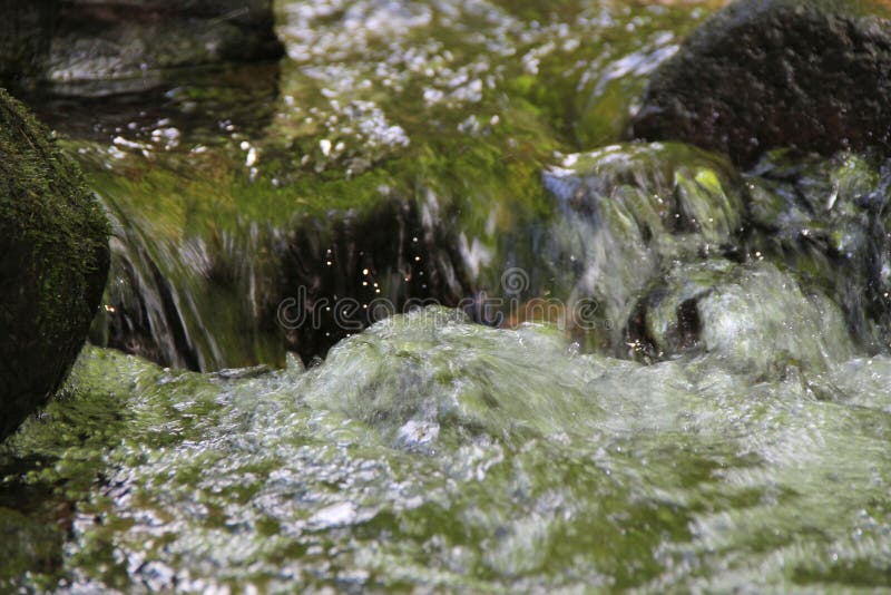 Small River Bed with Rocks and Moss, Washed Over by Clear Water, Detail ...