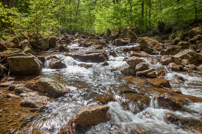 Small River Called Ilse in Harz Germany Stock Photo - Image of outside ...
