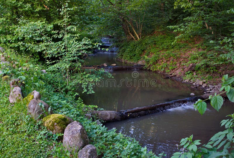 A Small River Channel on a Background of a Slope with Green Deciduous ...