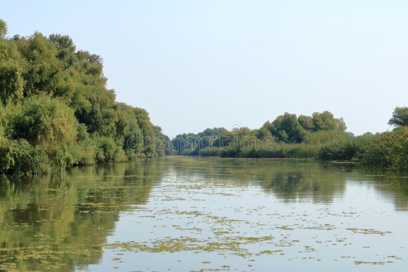 A Small River Channel in the Danube Delta Stock Image - Image of delta ...