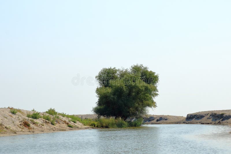 A Small River Channel in the Danube Delta Stock Image - Image of clouds ...