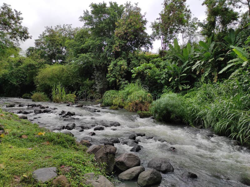 A Small River Deep in the Forests of Indonesia Stock Photo - Image of ...