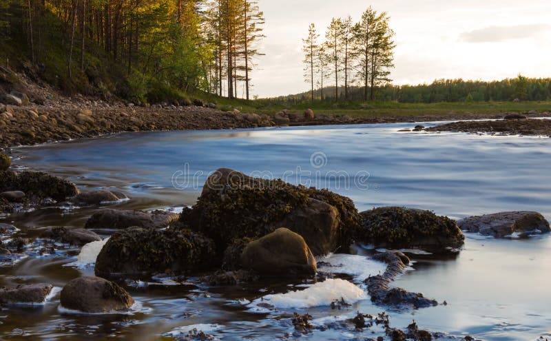 Small River with Dynamic Water and Stones on the Foreground Stock Image ...