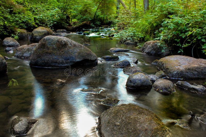 Calm Mysterious Streaming River in the Middle of Forest Stock Photo ...