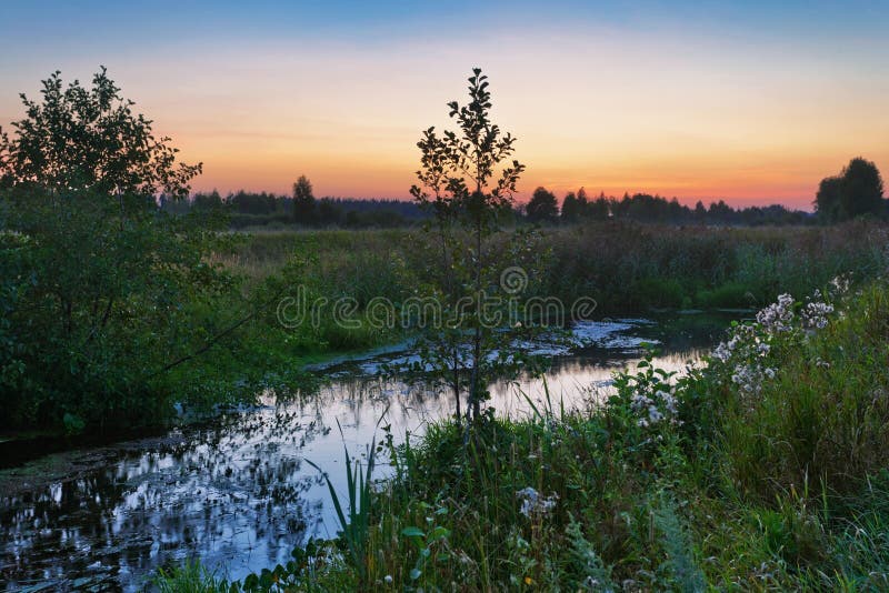 Small river in field stock photo. Image of nature, environment - 97921336
