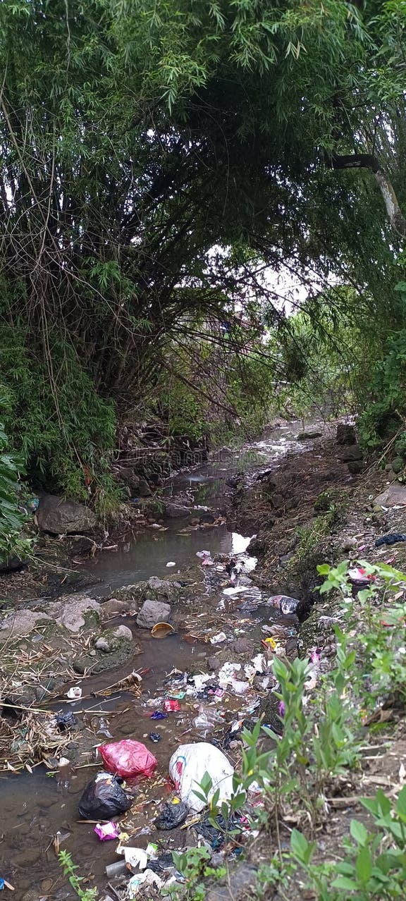 A Small River Filled with Human Waste Stock Photo - Image of waste ...