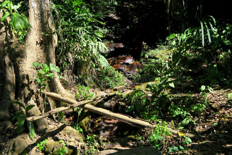 Small River Flowing through the Rocks Stock Image - Image of hiking ...