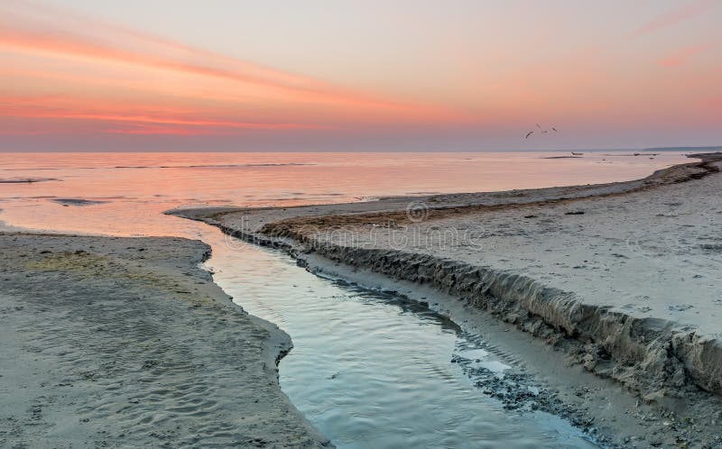 Small River Flowing into the Sea Stock Image - Image of fishing, bird ...