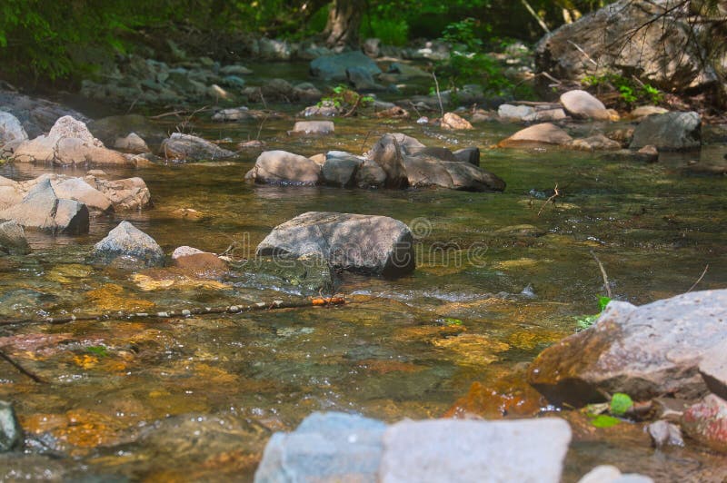 Small River Flowing through the Stones in the Thuringian Forest ...