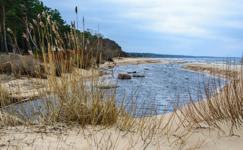 A Small River Flows into the Baltic Sea in Latvia. Stock Photo - Image ...