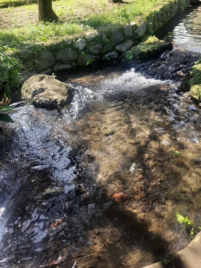 A Small River Flows with Clear Water Stock Image - Image of flows ...