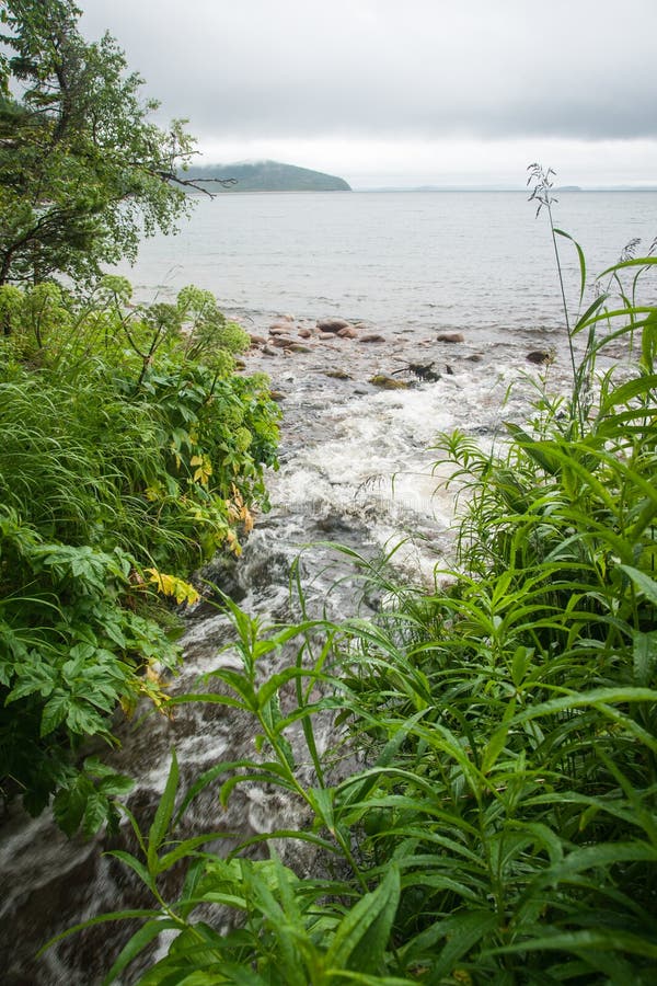 Small River Flows into Lake Baikal, Russia Stock Image - Image of ...