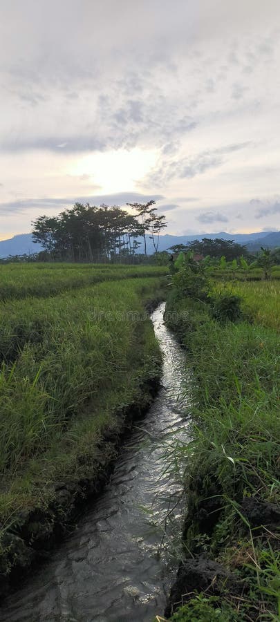 Village Pemalang Regency Central Java Indonesia Stock Photos - Free ...