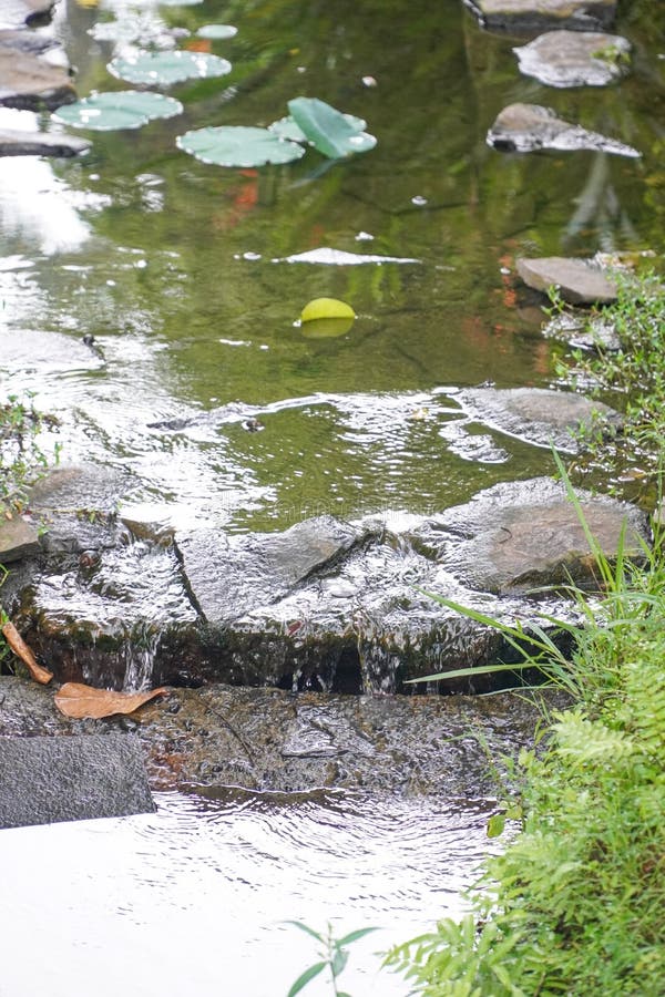 A Small River Flows between the Rocks Stock Photo - Image of spring ...