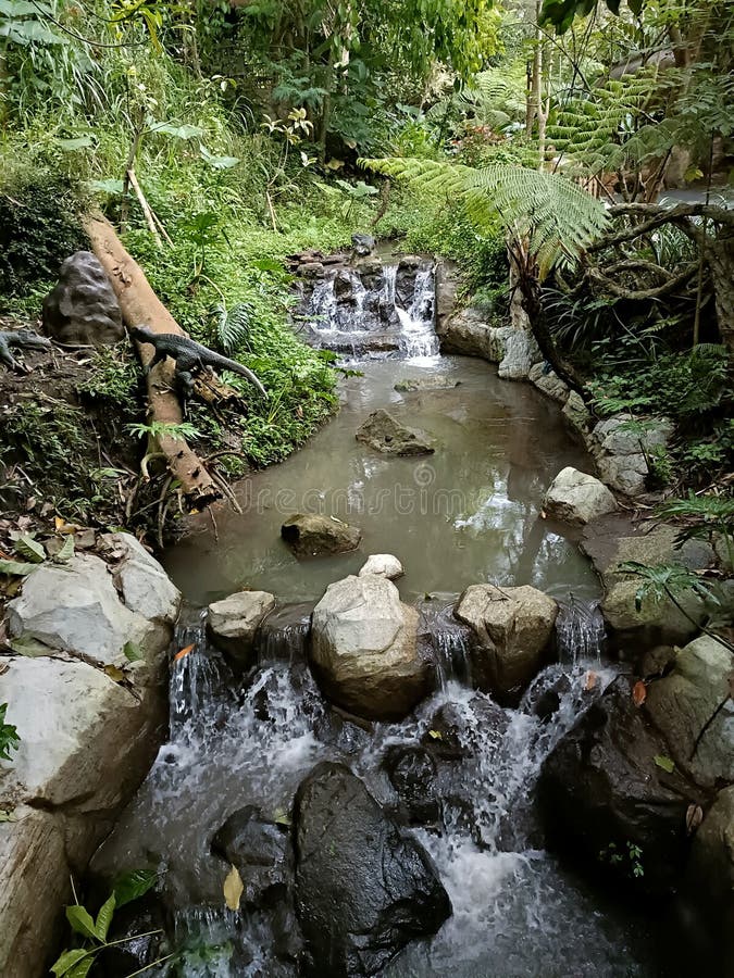 A Small River Flows To the Sea Stock Photo - Image of flows, small ...