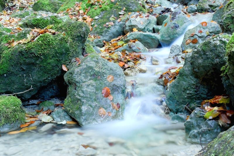 A small river in a forest stock image. Image of fall - 79736627