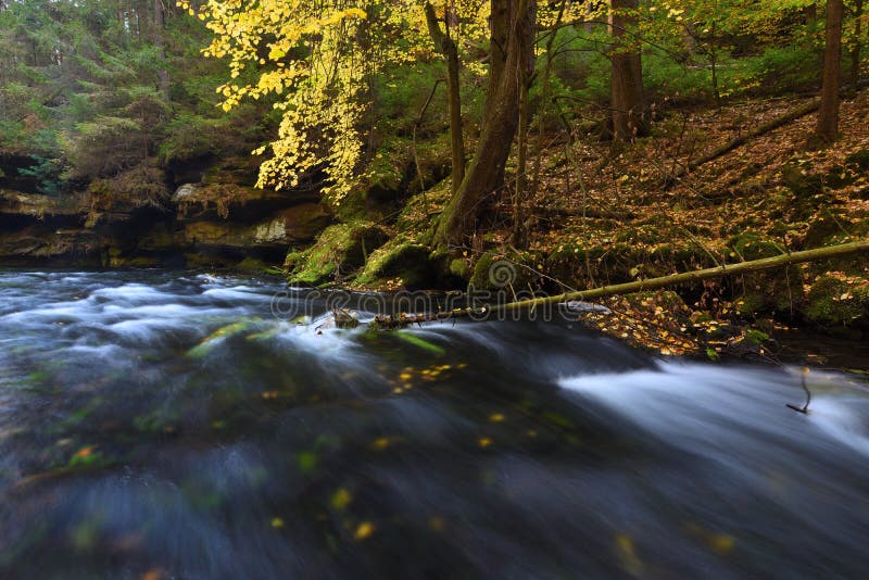 Small River in a Forest in Autumn. Stock Photo - Image of leaf ...