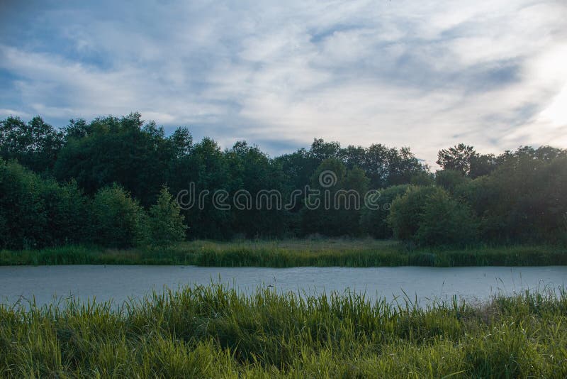 Stream through field stock image. Image of grassland - 78487731